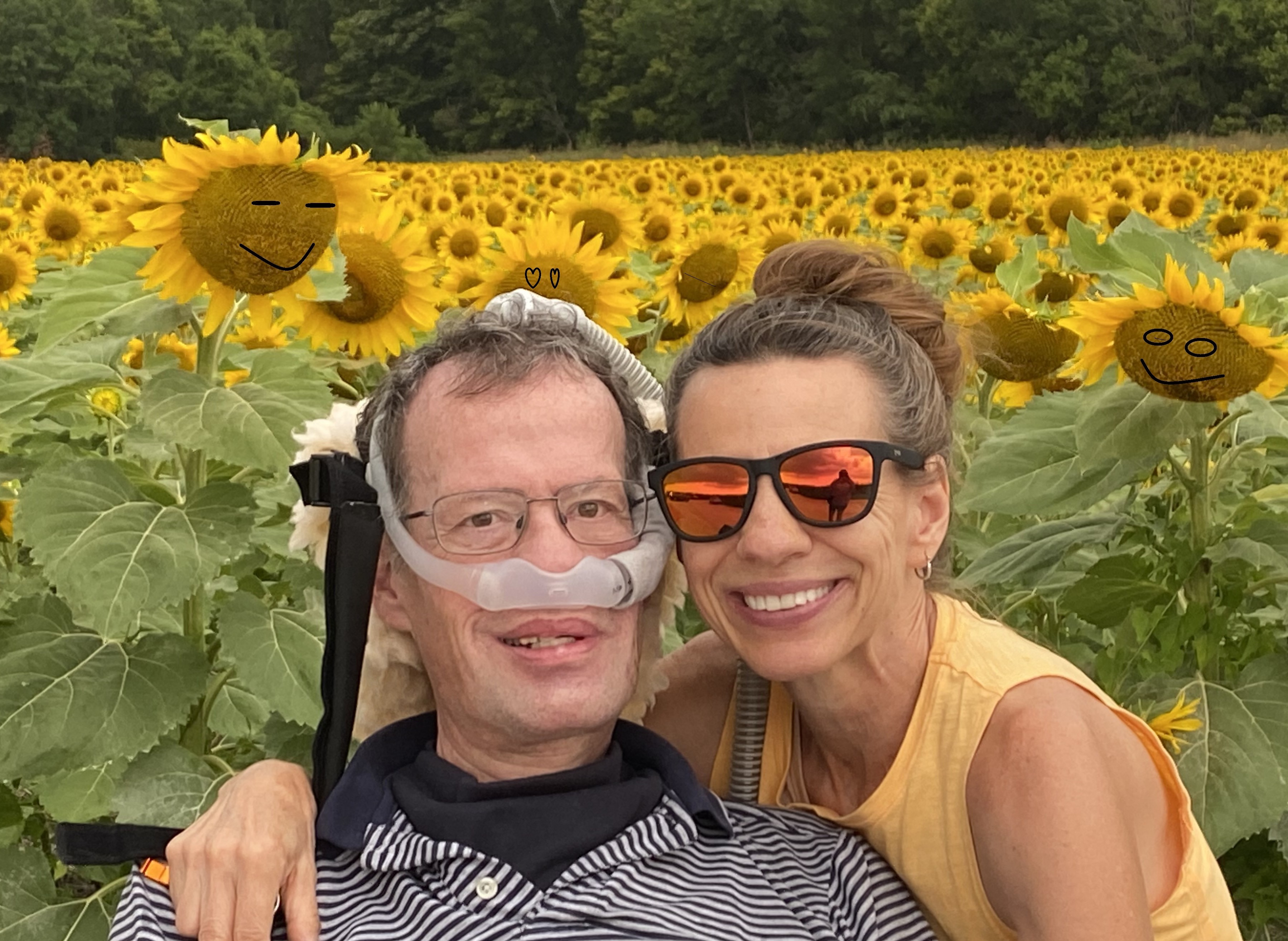 The Sunflowers! – New Navigations